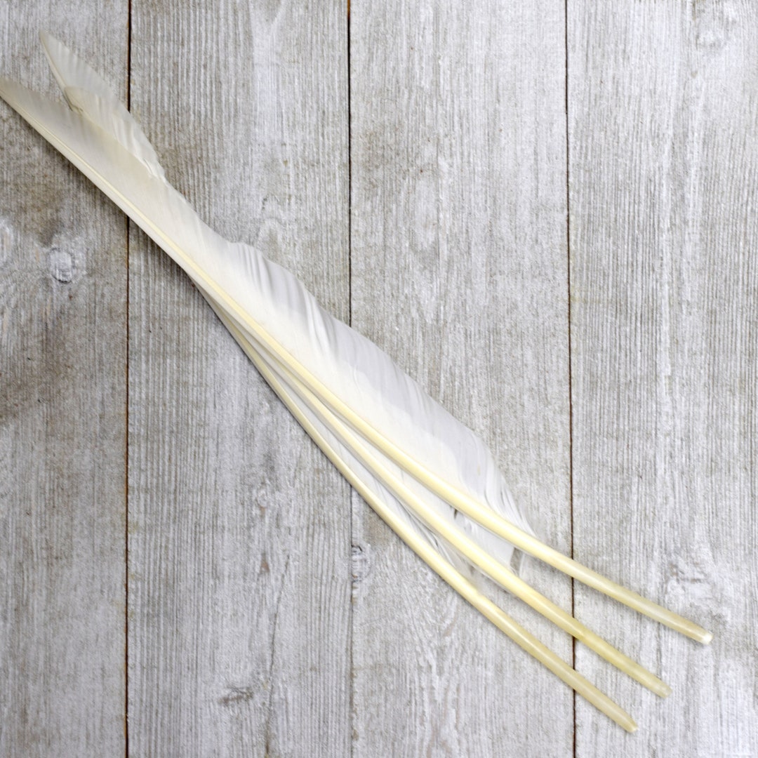 Goose Pointer Feathers for Quill Pens, Calligraphy Quality With Thick ...