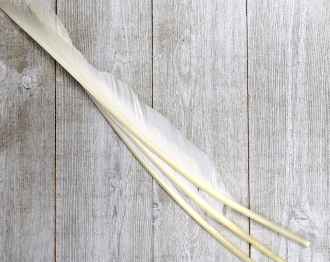Hand-cut Goose Feather Quill for Calligraphy and Medieval Writing - Etsy