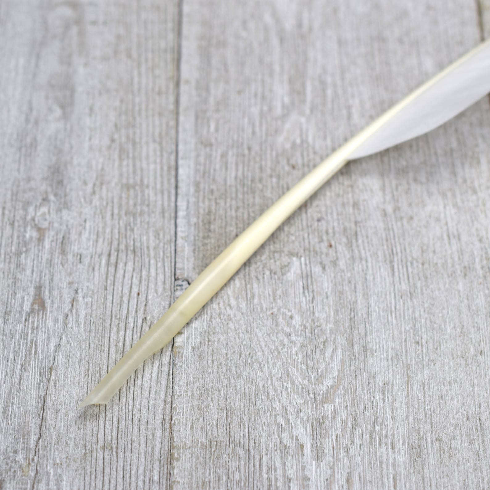 Hand-cut Goose Feather Quill for Calligraphy and Medieval Writing - Etsy