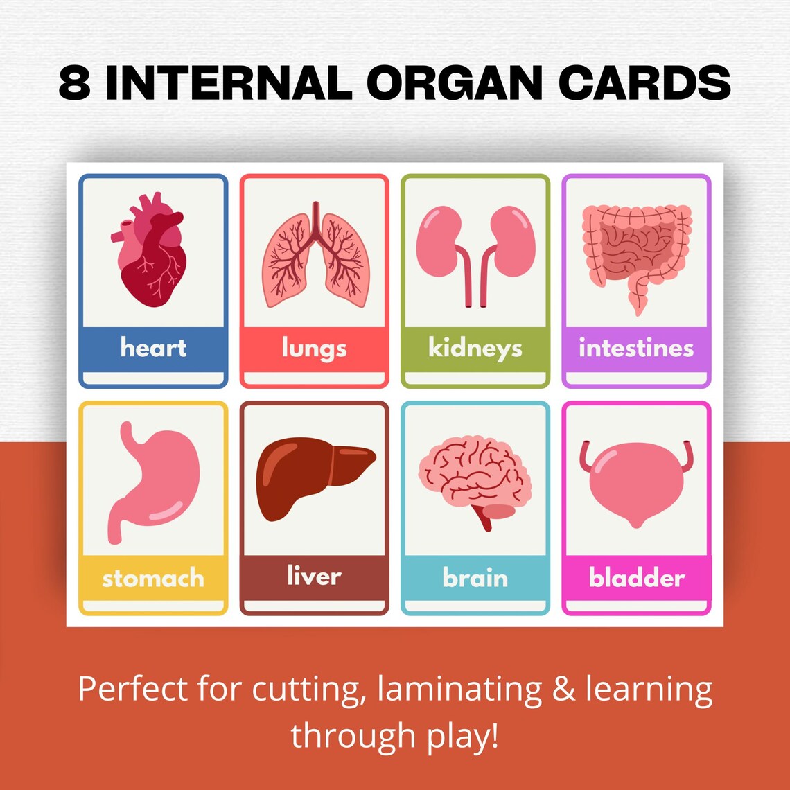 Body Parts Flashcards – 3 Printable Pages | Face, Body, Organs | Cut ...
