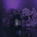 Ghost Violet Perfume Oil | Violet Fragrance | Nostalgic Perfume - Etsy