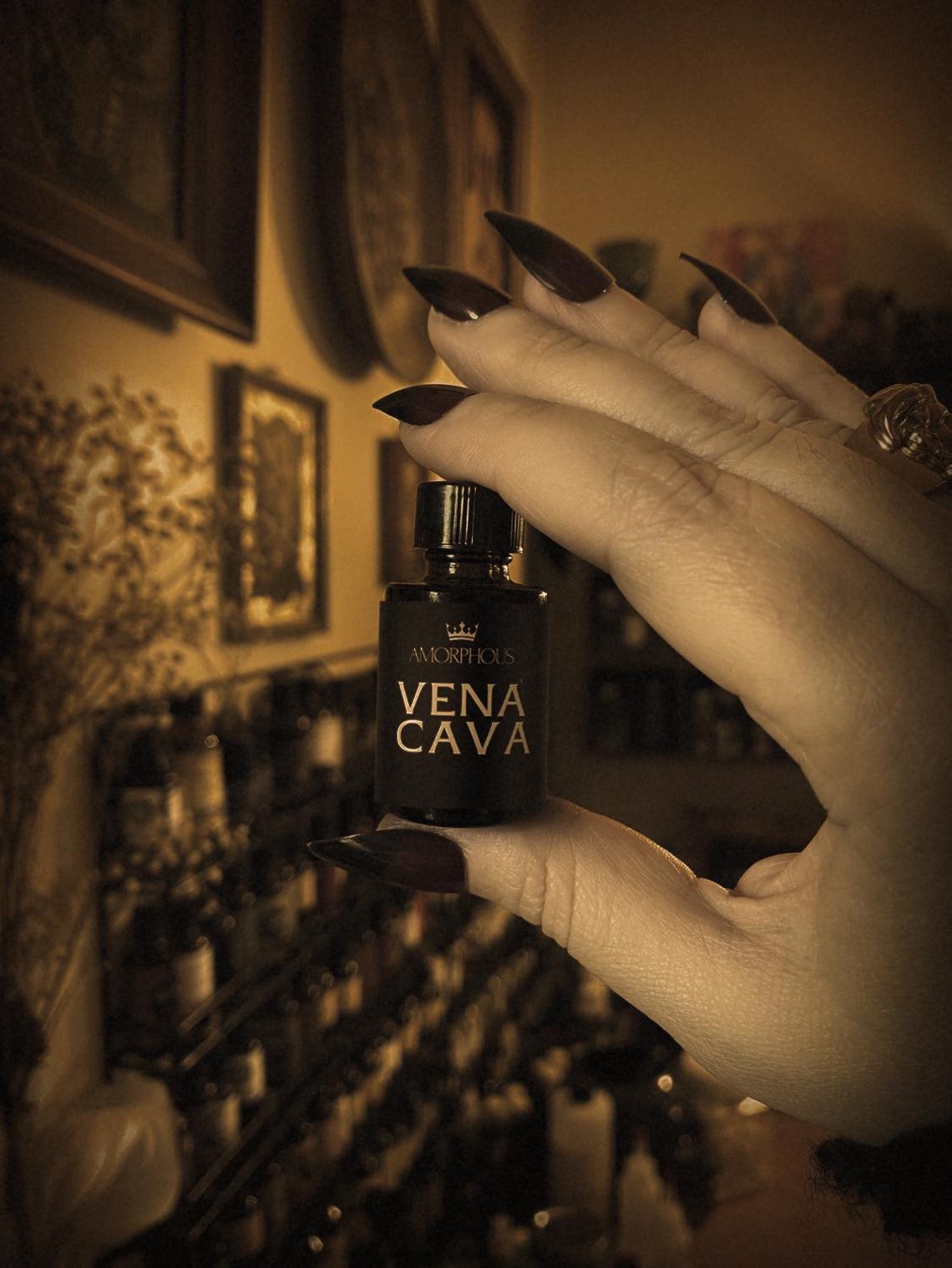 Vampire Perfume Oil | Vampire Fragrance | Gothic Vampire Perfume ...