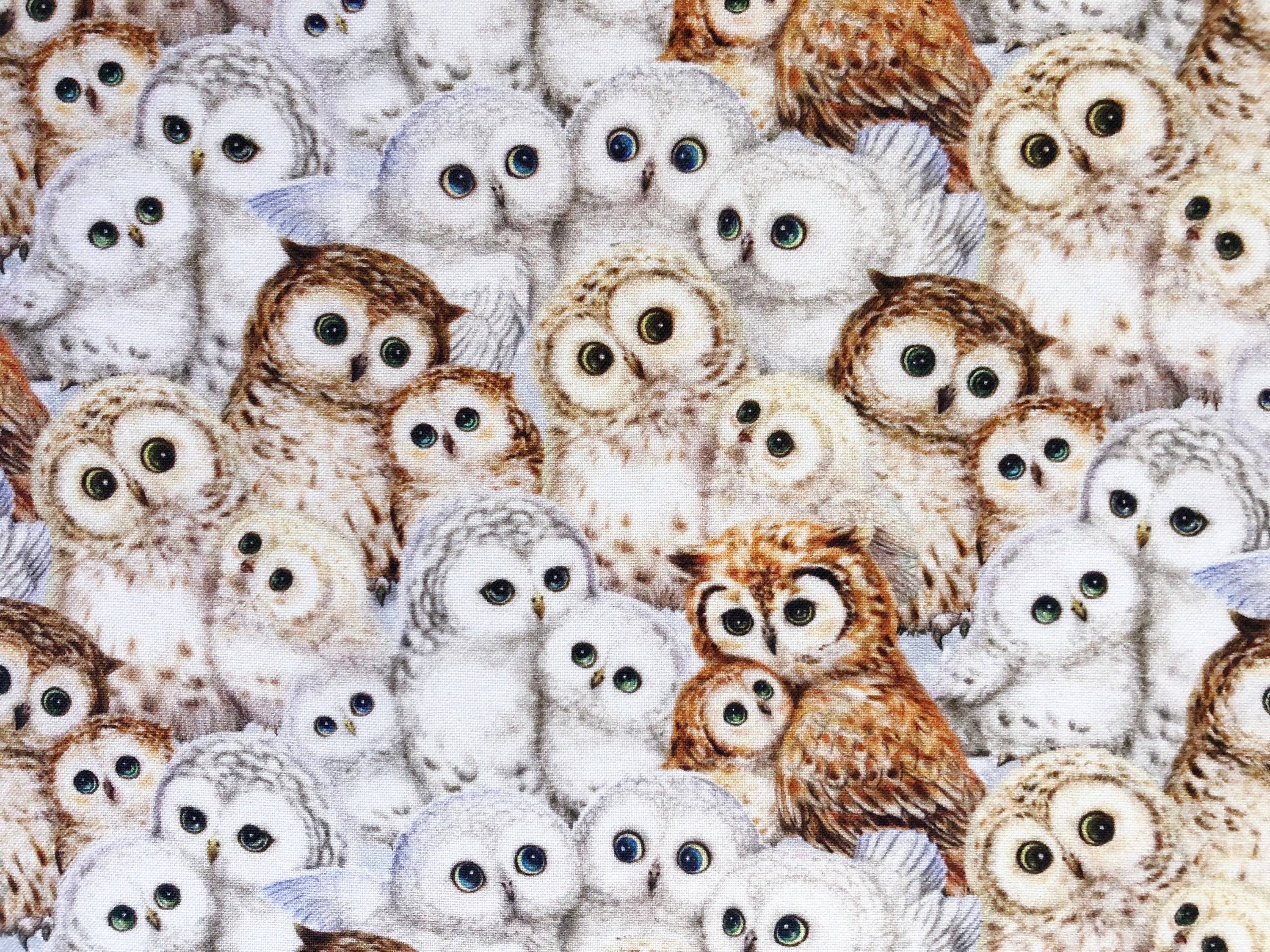 Owl Fabric