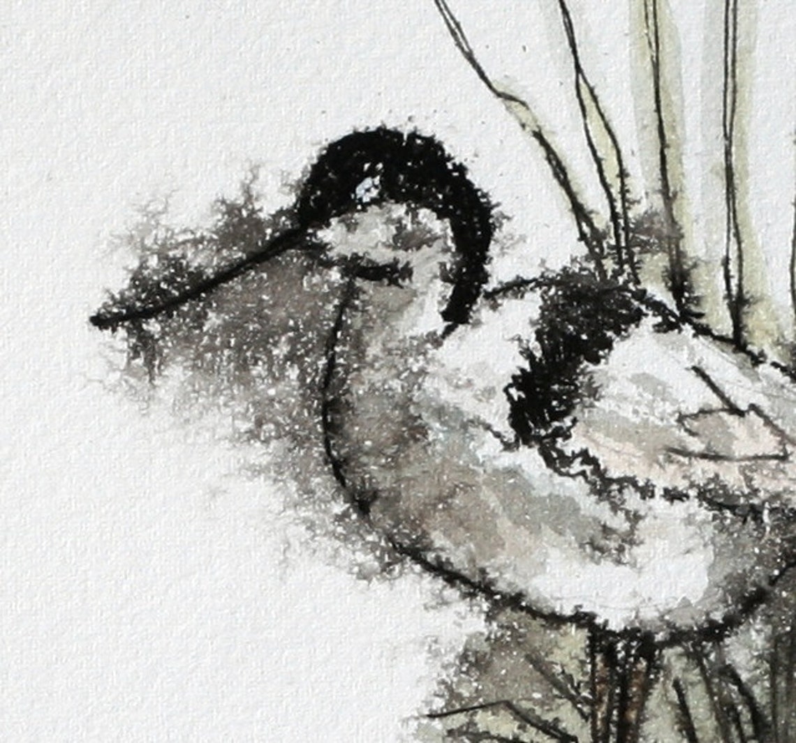 Beach Shore Bird Watercolor, Original Animal Art, 4 1/2 X 6 Long Billed ...