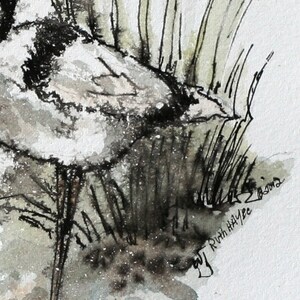 Beach Shore Bird Watercolor, Original Animal Art, 4 1/2 X 6 Long Billed ...