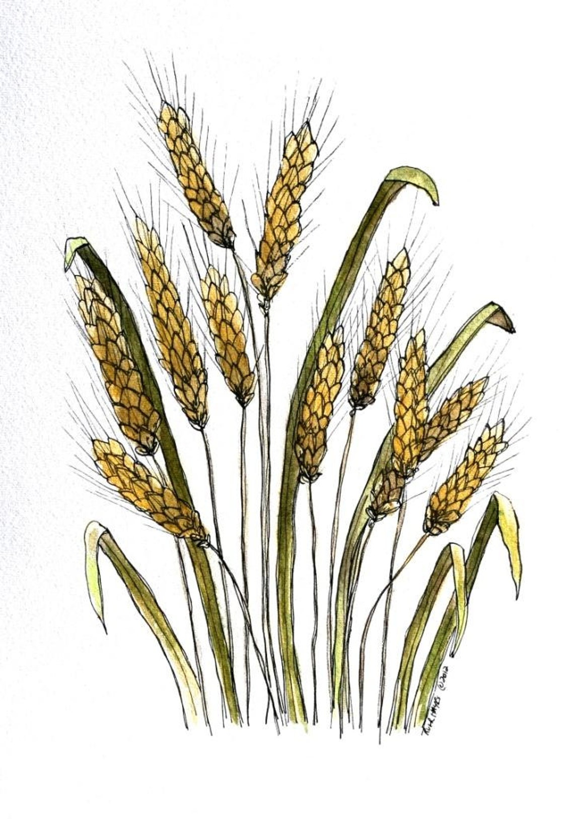 Watercolor Wheat Still Life 8 X 12 Original Small Format Art Painting ...
