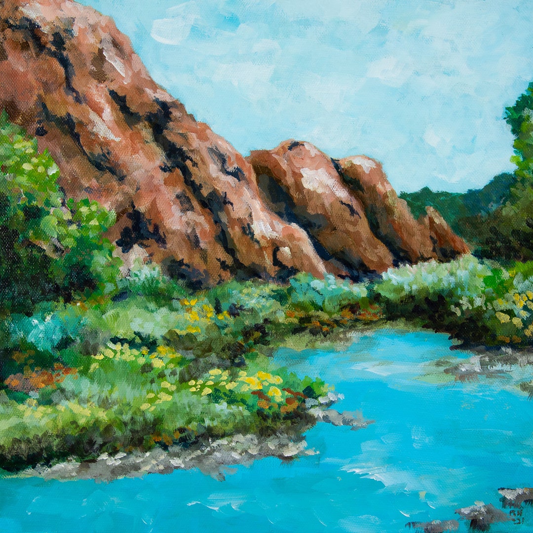 Colorado River Canvas Acrylic Painting, 12x12 Original Lily Pond Art ...