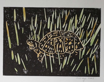 Eastern Box Turtle Art - Etsy