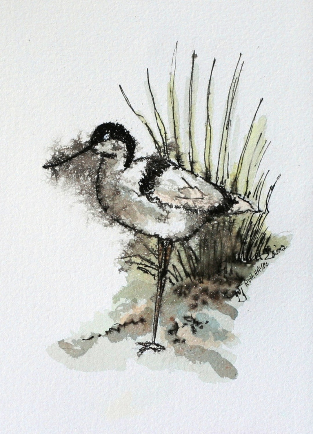 Beach Shore Bird Watercolor, Original Animal Art, 4 1/2 X 6 Long Billed ...
