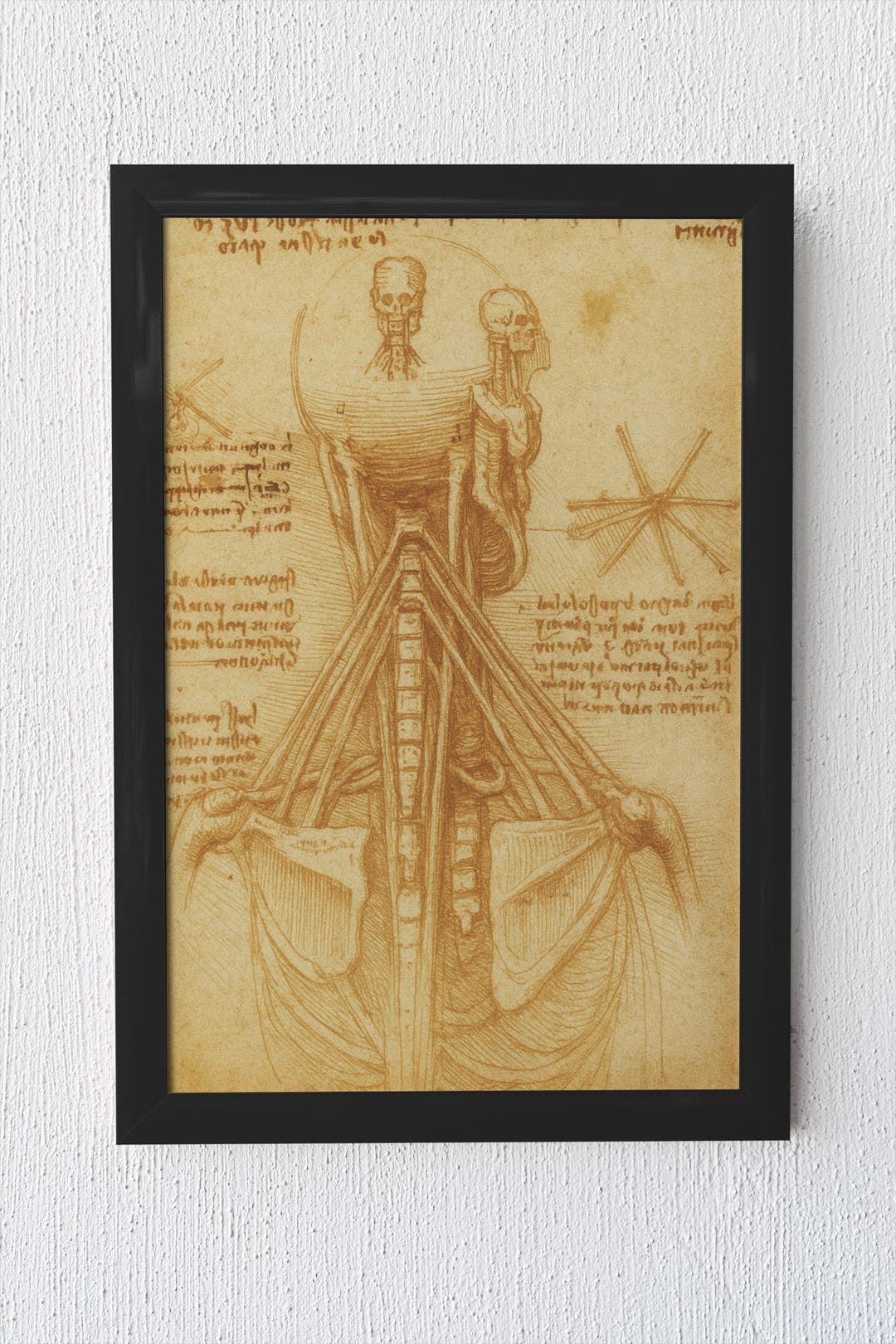 Da Vinci Skeleton Anatomy Print | Gothic Vintage Medical Wall Art ...