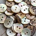 Assorted Wood Buttons Mixed Colors Wooden Craft 30mm/1.2 Supply Bulk ...