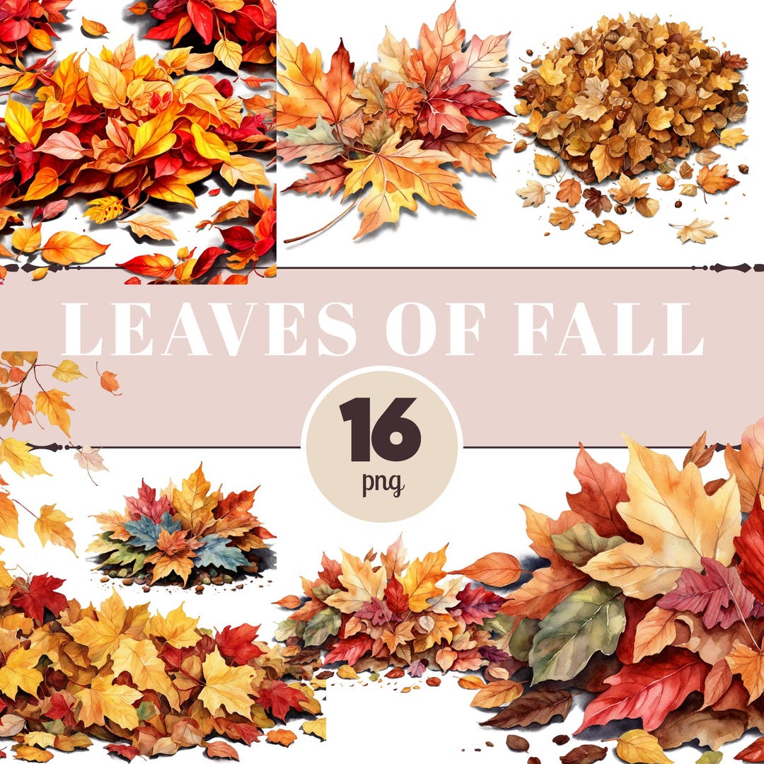 Autumn Leaves PNG Clipart – Fall Foliage Illustrations for Journals ...