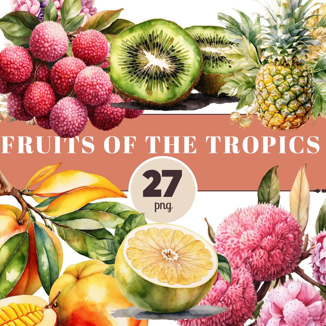 Watercolor Tropical Fruit Clipart, PNG Bundle (digital Download) - Etsy