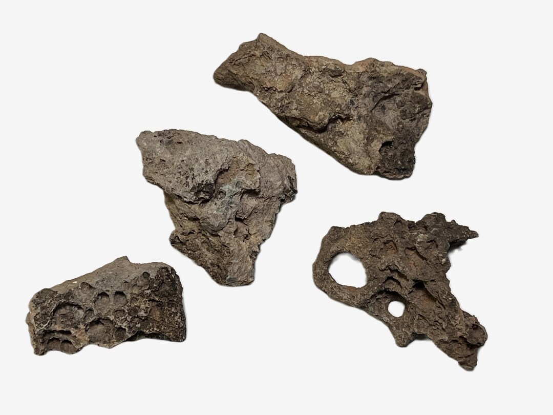 4) Natural Lace Rock / Volcanic Rock – Unique Porous Stones for ...