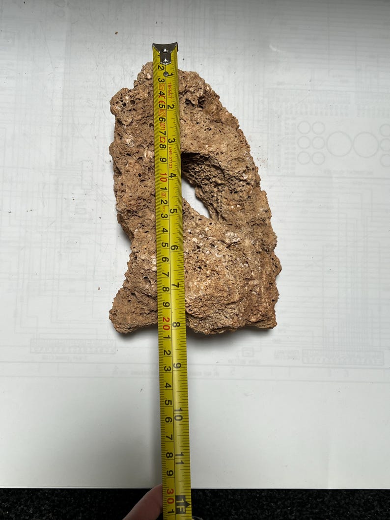 Large Tufa Rock With Hole: Natural Aquarium Aquascaping Stone - Etsy