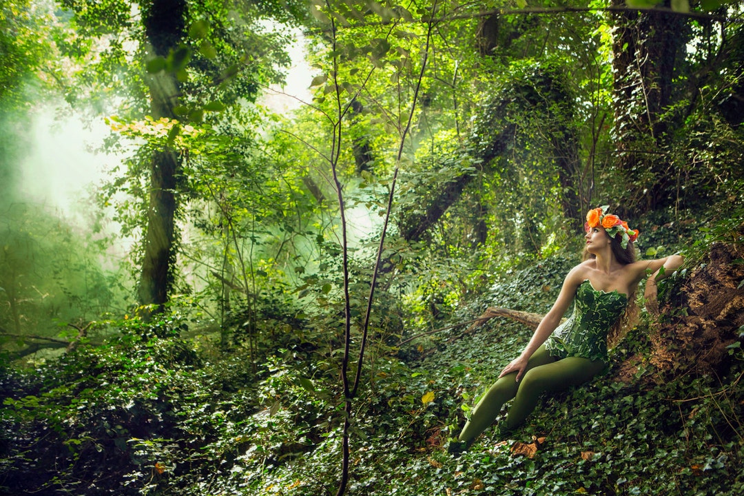 Poison Ivy Corset & Knickers Mother Nature Costume UK 8-10 - Etsy