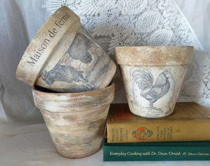 Farmhouse Collection Terracotta Planter Sets, Cow, Rooster, Aged ...