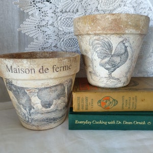 Farmhouse Collection Terracotta Planter Sets, Cow, Rooster, Aged ...
