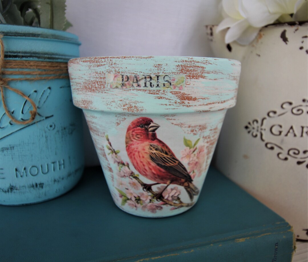Hand Painted Distressed Red Finch, Paris, Bird, Blossom, Aqua ...