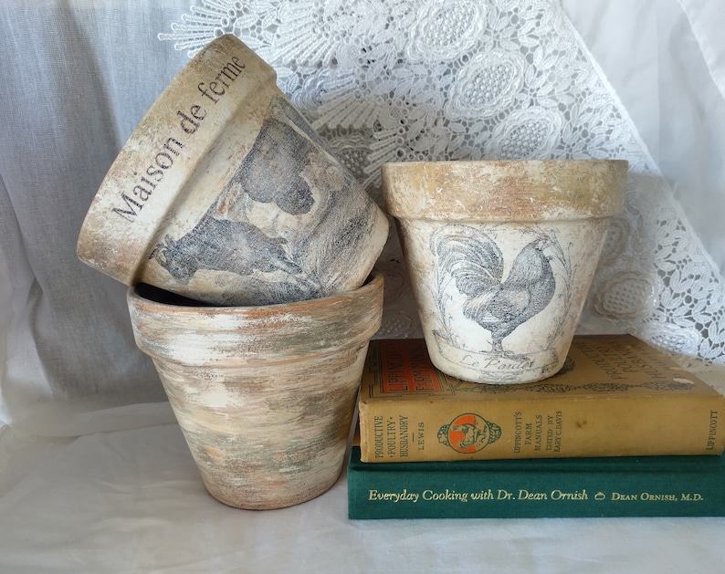 Farmhouse Collection Terracotta Planter Sets, Cow, Rooster, Aged ...