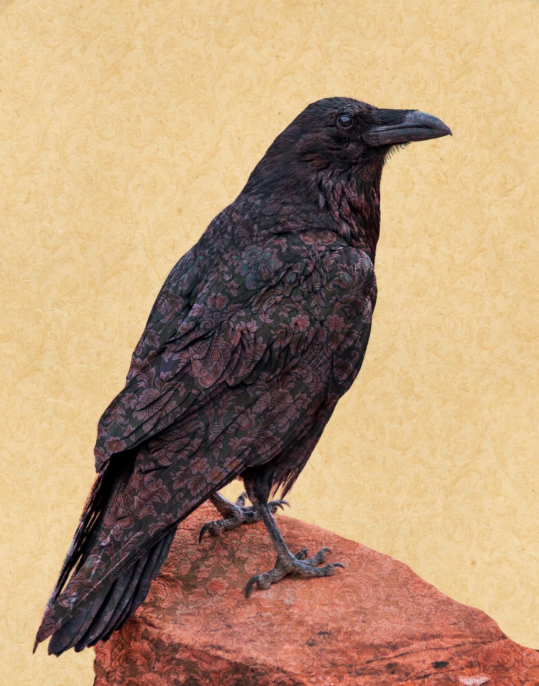 Tapestry, Wild Bird, Bird, Fine Art Photography, Wildlife, Raven - Etsy