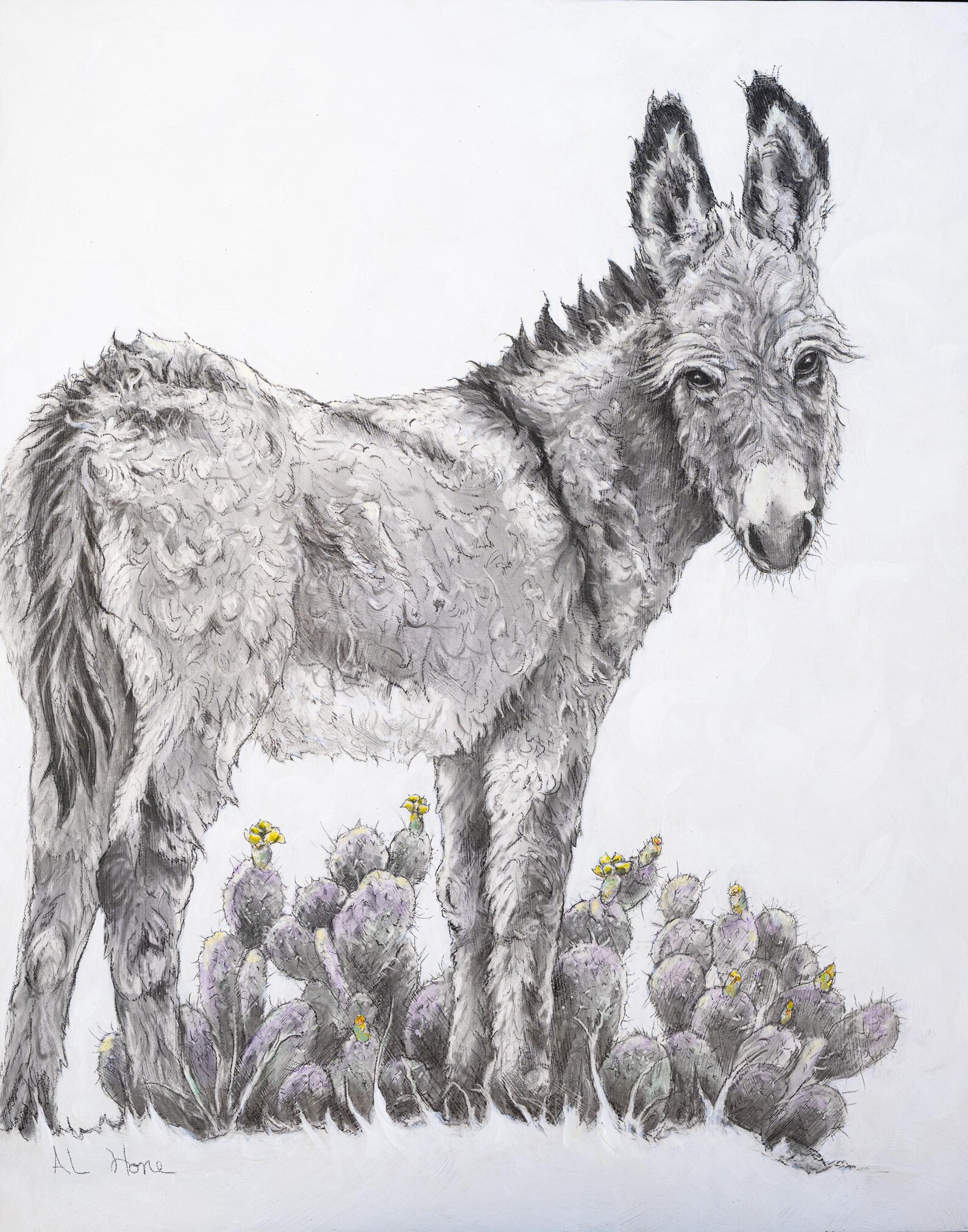 Burro and Purple Cactus, Burro, Donkey, Wildlife, Charcoal Drawing - Etsy