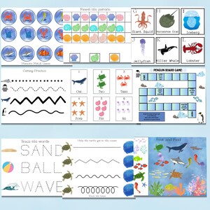 Ocean Themed Montessori Activities | Summer Preschool Nature Study ...