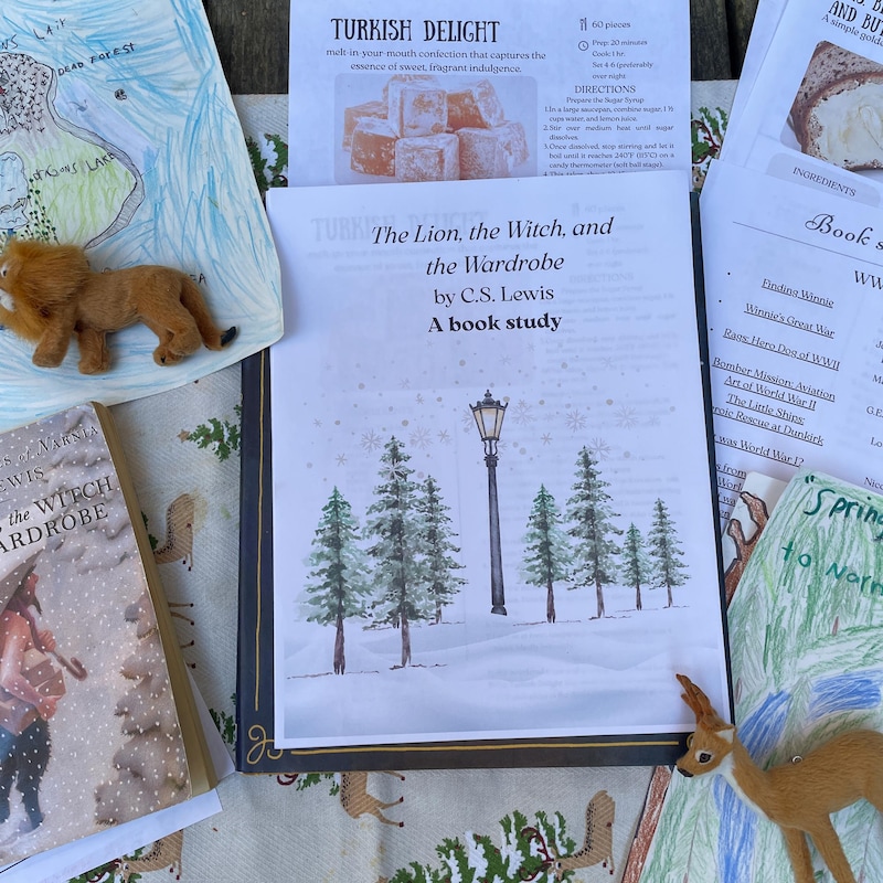 Narnia - Etsy