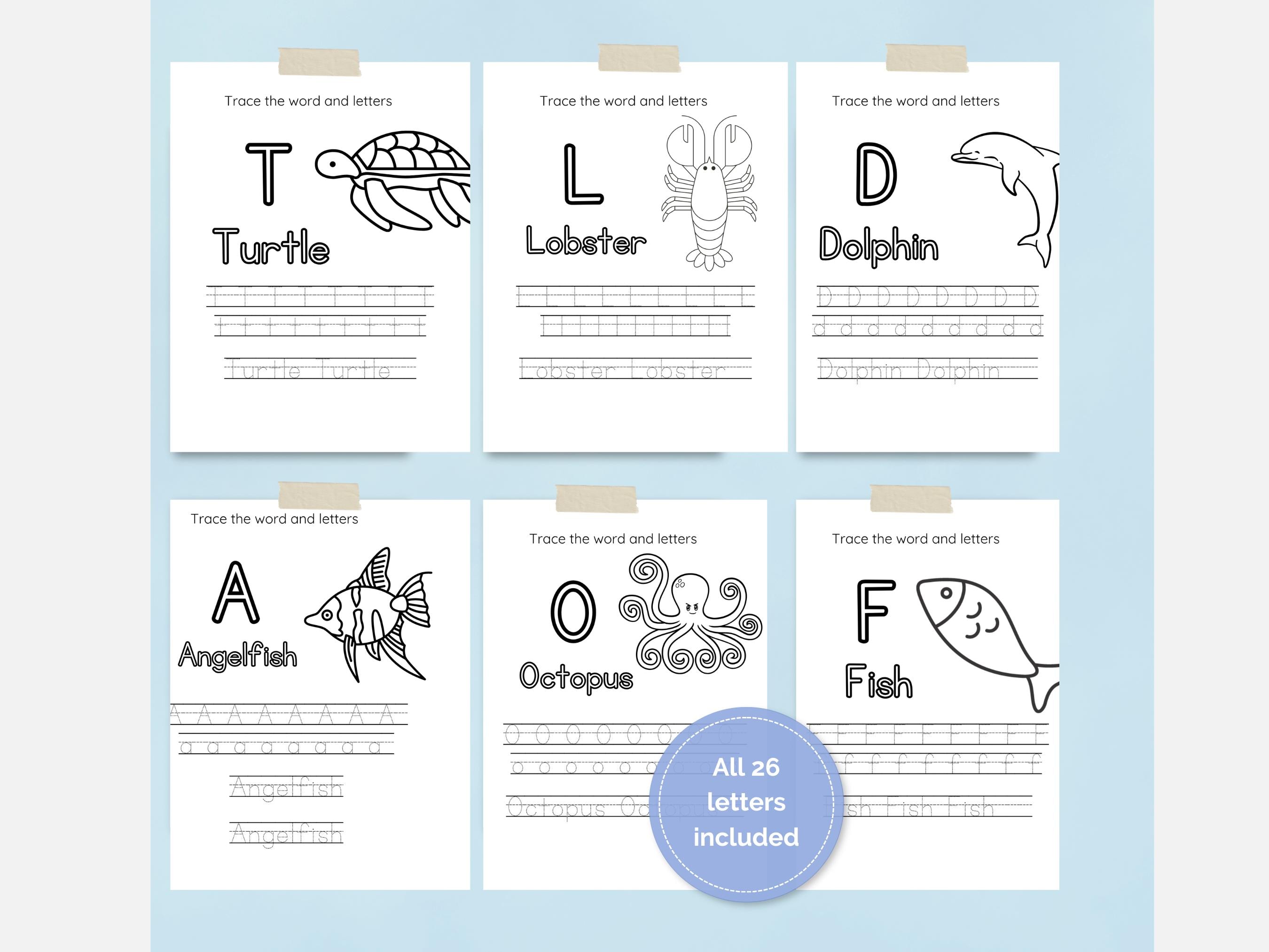 Ocean Themed Montessori Activities | Summer Preschool Nature Study ...