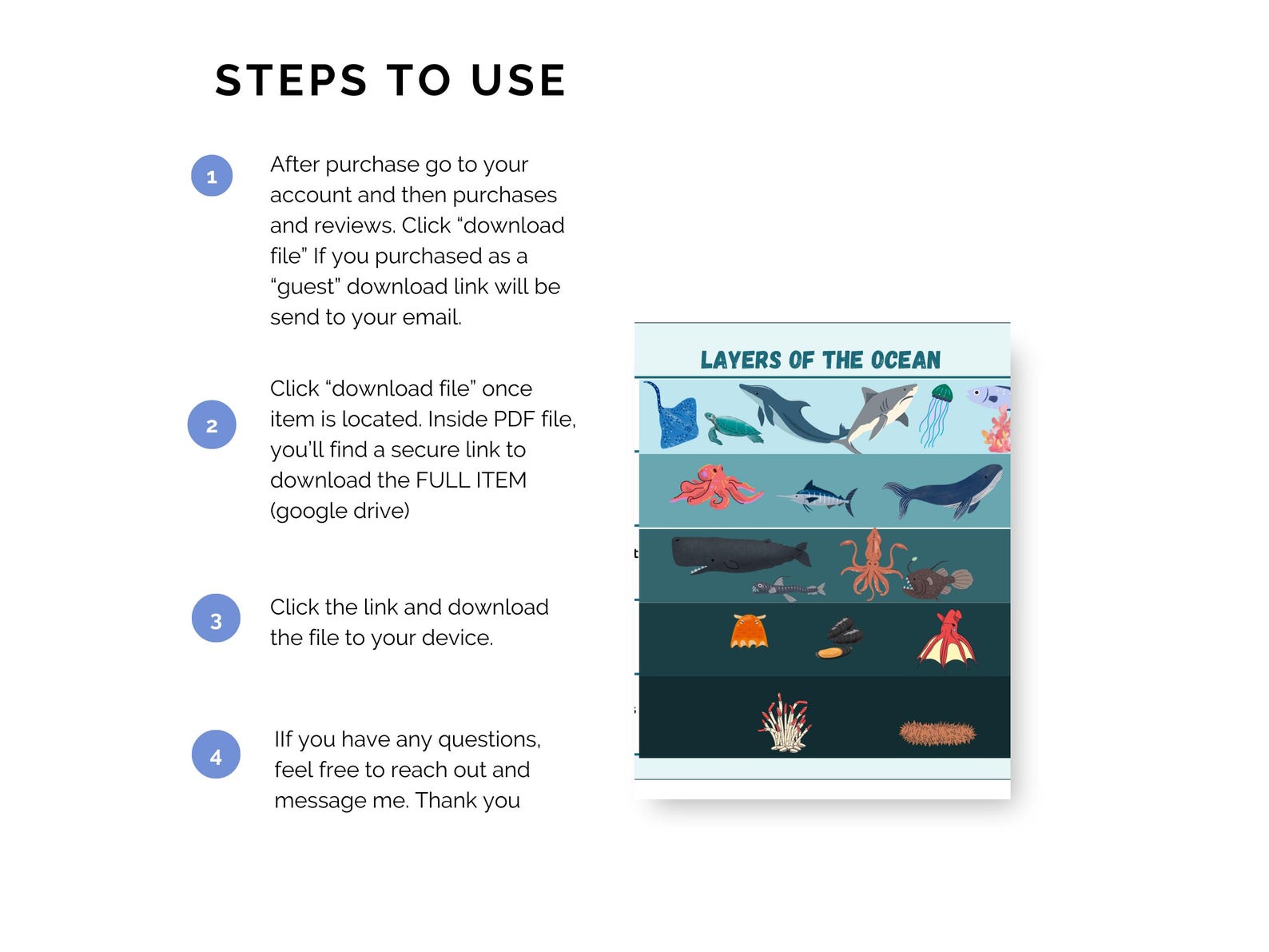 Ocean Themed Montessori Activities | Summer Preschool Nature Study ...