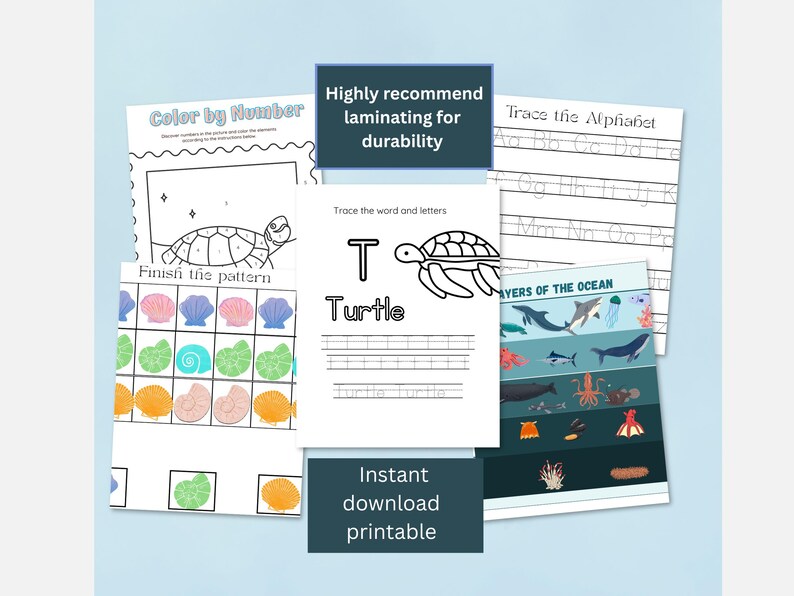 Ocean Themed Montessori Activities | Summer Preschool Nature Study ...