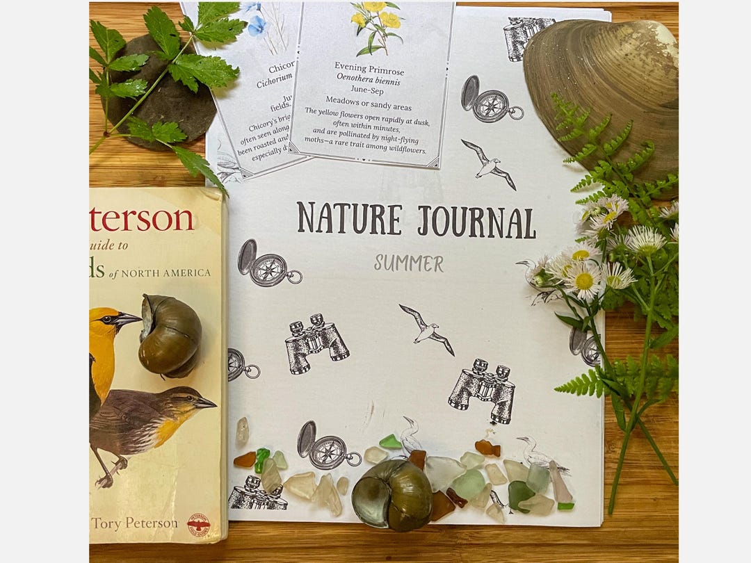 Charlotte Mason Summer Nature Journal | Homeschool Seasonal Notebook ...