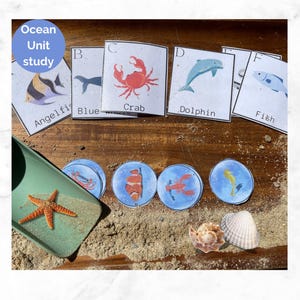 Ocean Themed Montessori Activities | Summer Preschool Nature Study ...