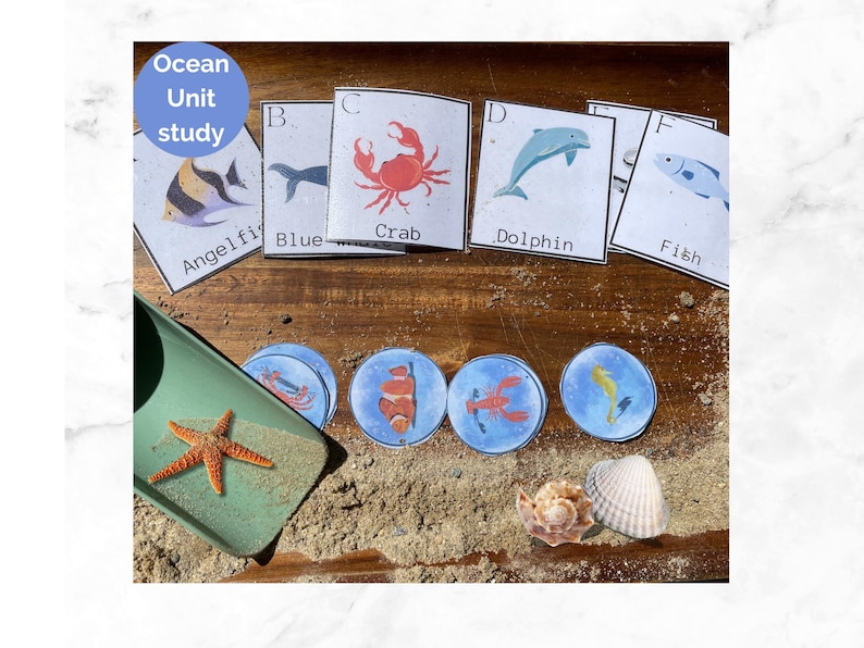 Ocean Themed Montessori Activities | Summer Preschool Nature Study ...