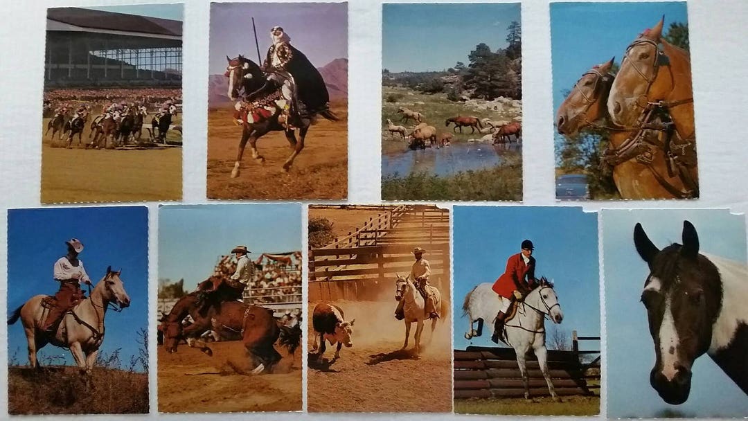 Hallmark Horse Postcards, 9 Vintage Oversized Photo-cards From Calendar ...