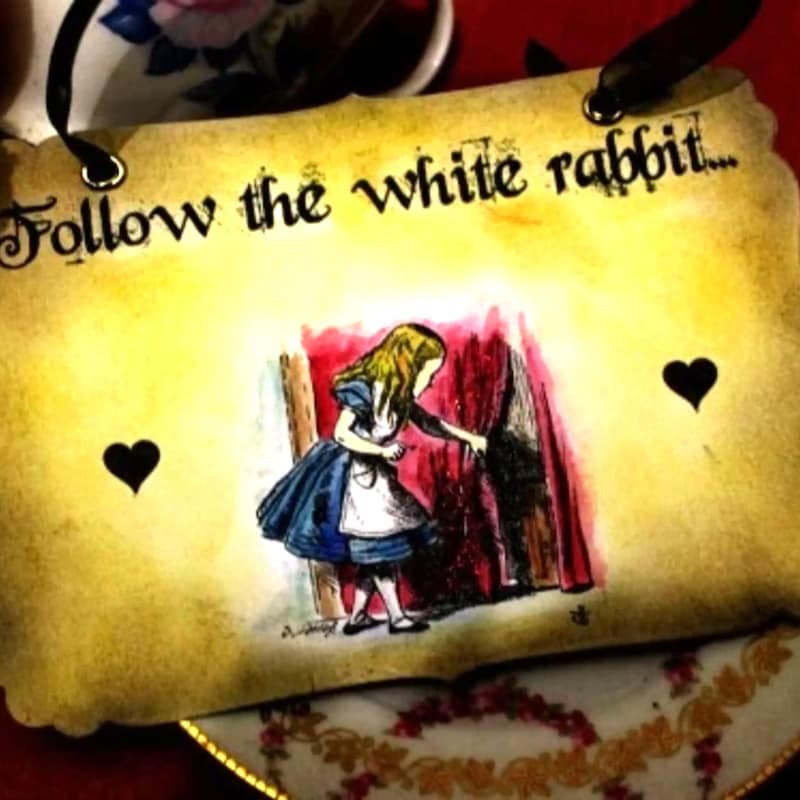 Follow the White Rabbit - Etsy