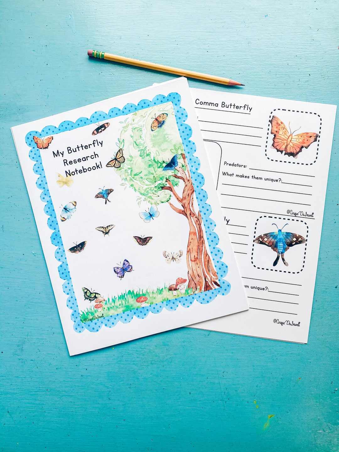 Butterfly Observation Notebook - Etsy