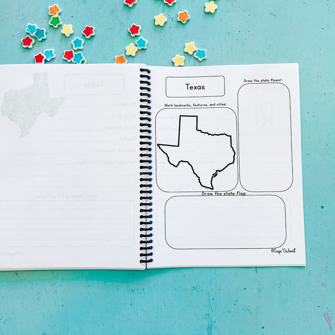 50 States Research Journal - Etsy