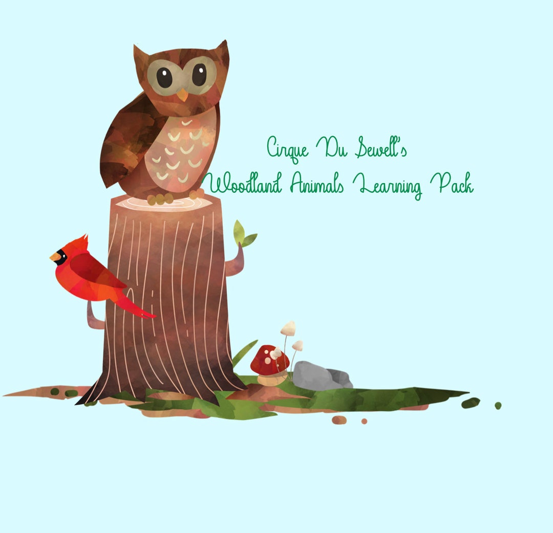 Woodland Animals Learning Pack - Etsy