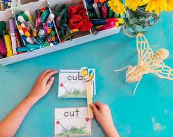 Spring Life Cycle and Labeling Set Spring Learning Pack Bug - Etsy