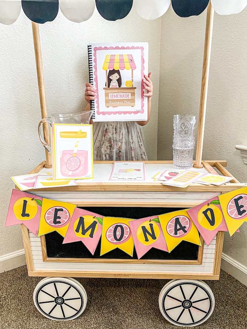 Lemonade Stand Business Plan - Etsy
