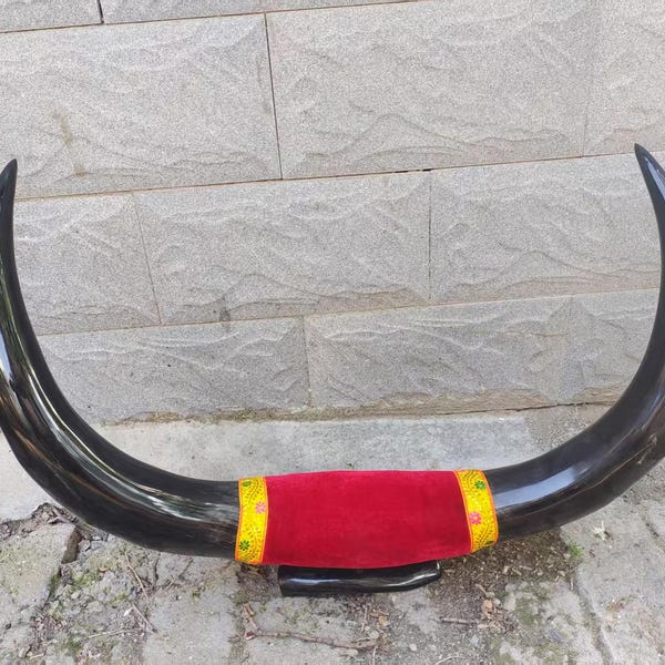 Real Bull Horns - Etsy