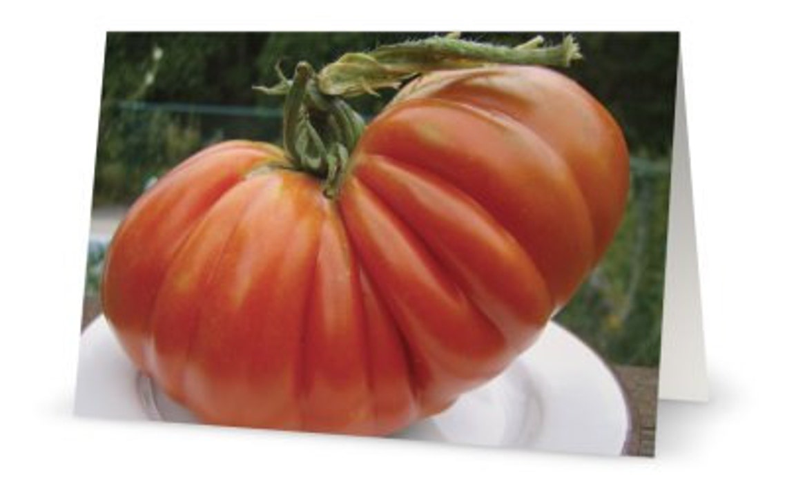 Food Photography Heirloom Tomato on Blank Note Card - Ernie's Plump ...