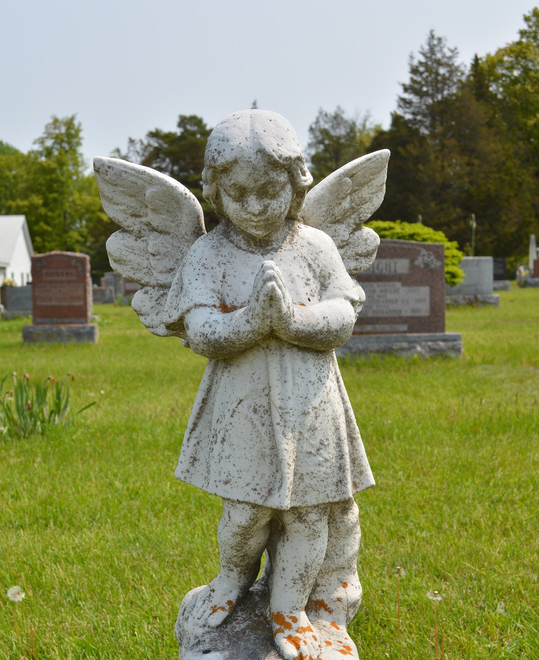 Young Angel Monument in Cemetery Guardian Angel Blank Photo Note Card ...