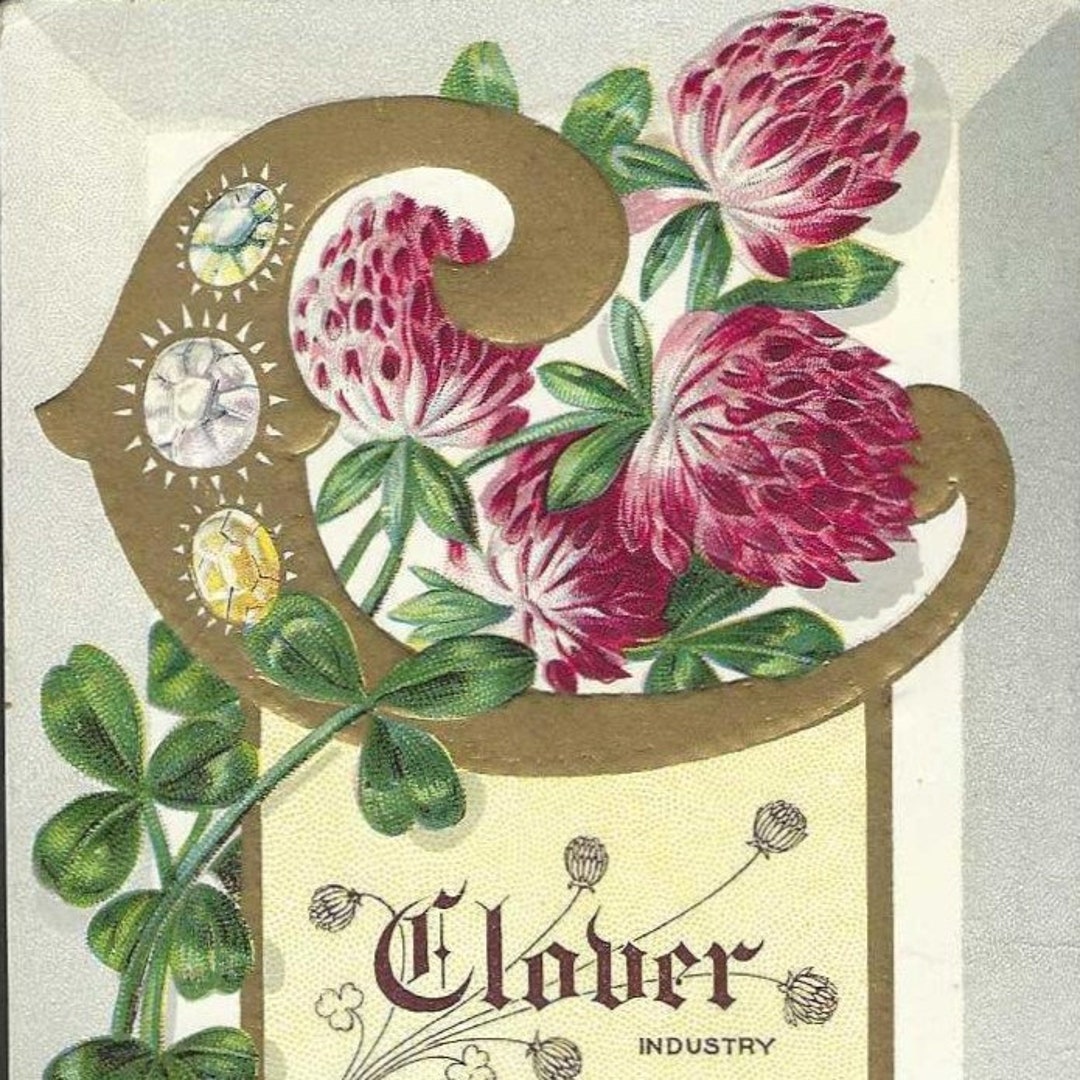 Pink Clover Representing Industry Embossed Antique Postcard - Etsy
