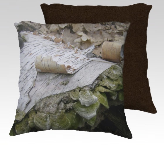 Fallen Birch Bark Log With Moss Nature Photography Blank Note - Etsy Canada