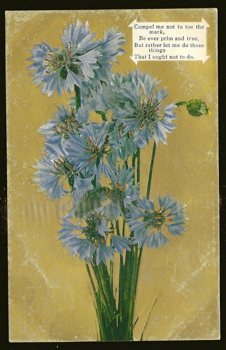 on Gold Background Unused Antique Postcard Romantic Verse Cornflower ...