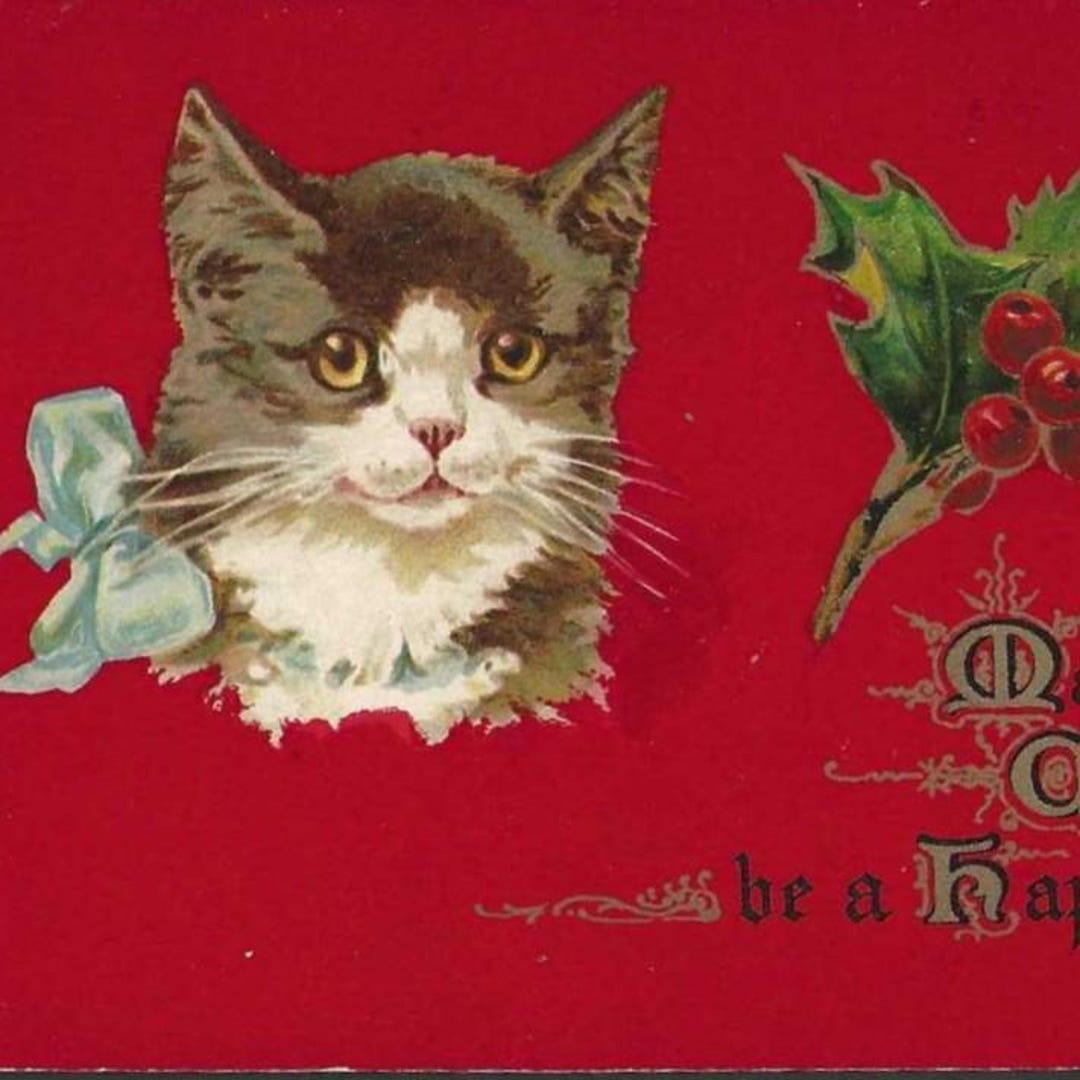 Cat Kitten and Holly Antique Christmas Postcard 1907 Lavish Red ...