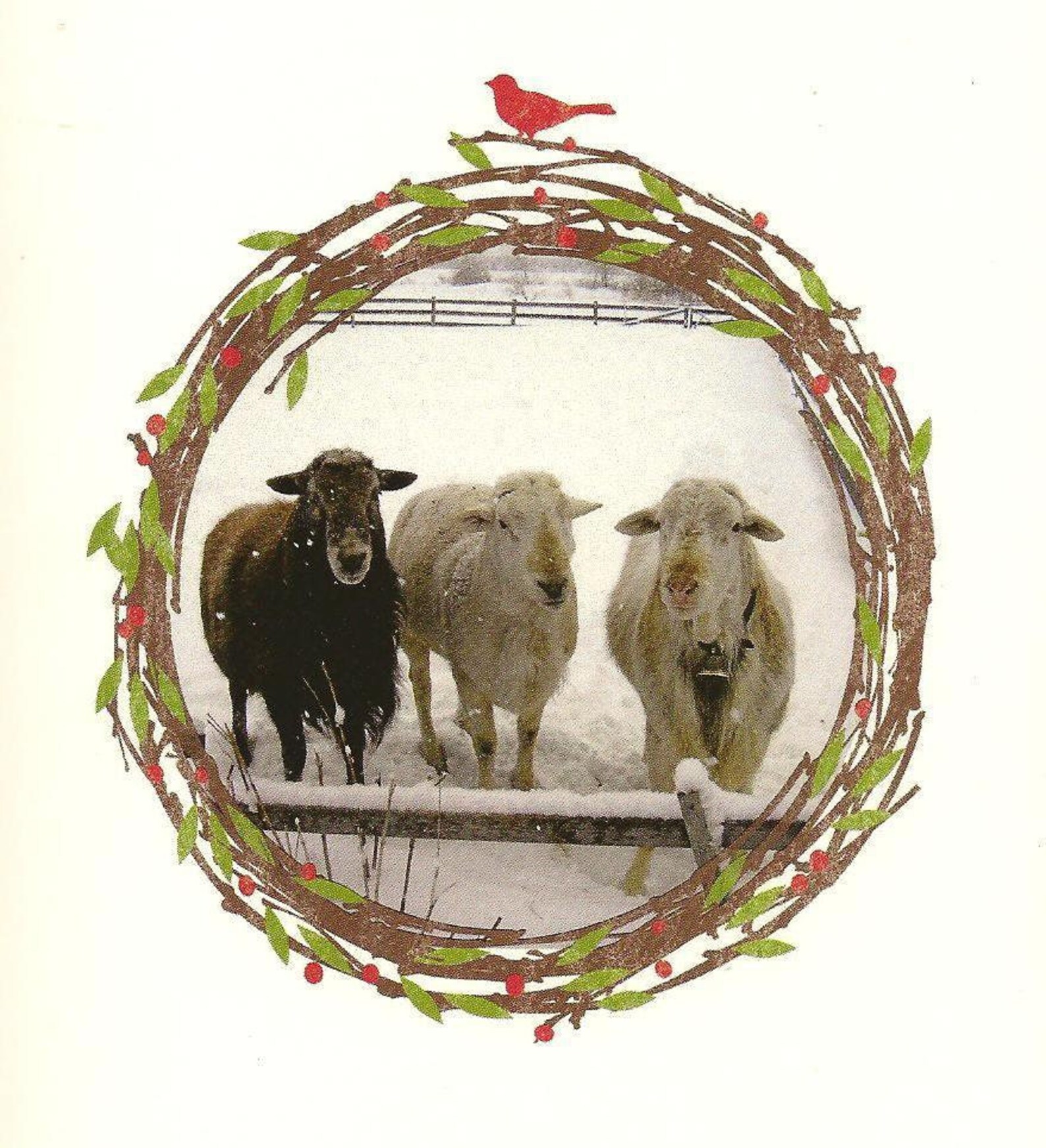 Fleece Navidad Sheep in Festive Christmas Wreath Photo | Etsy