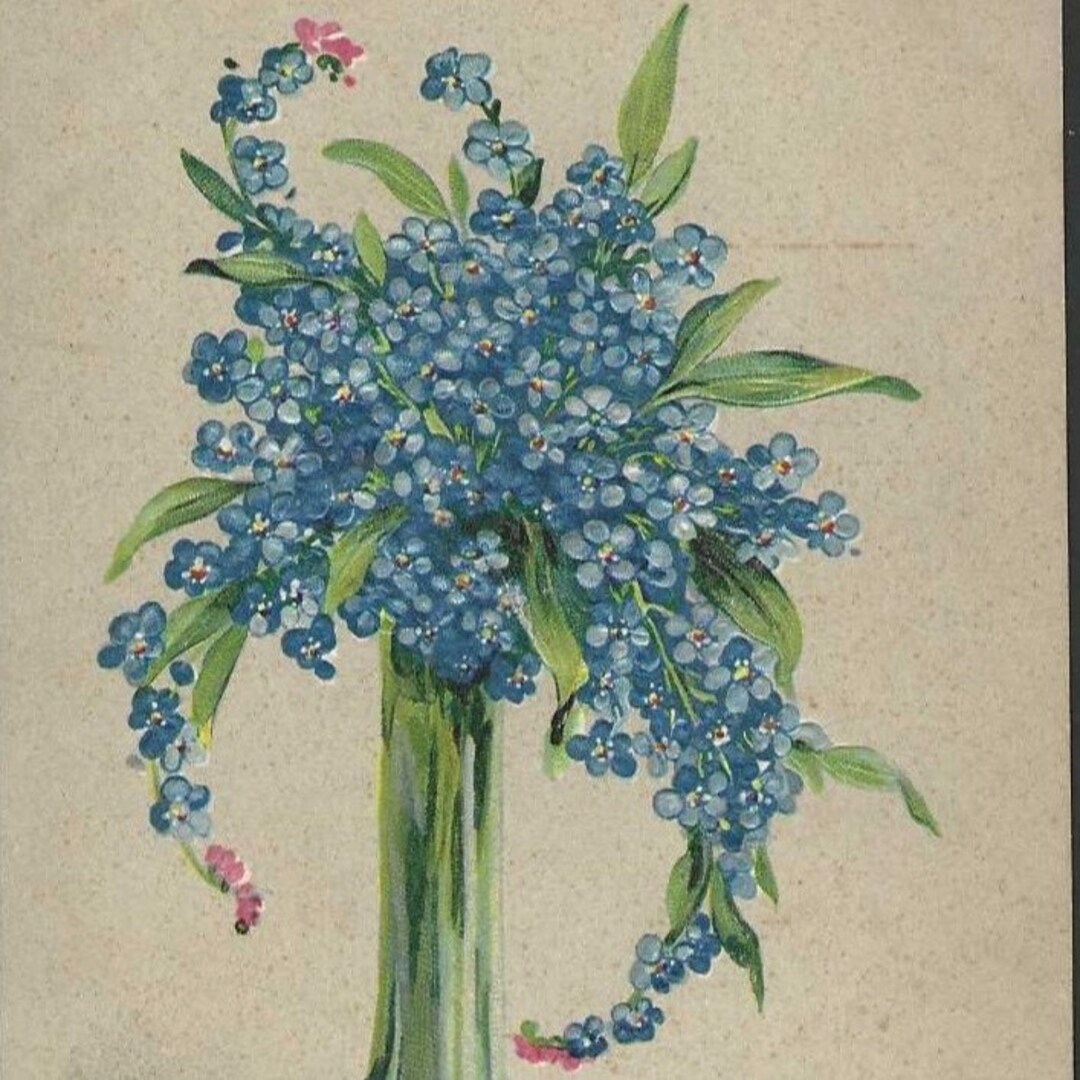 Forget-me-not Bouquet in Tall Vase Antique Postcard 1909 - Etsy